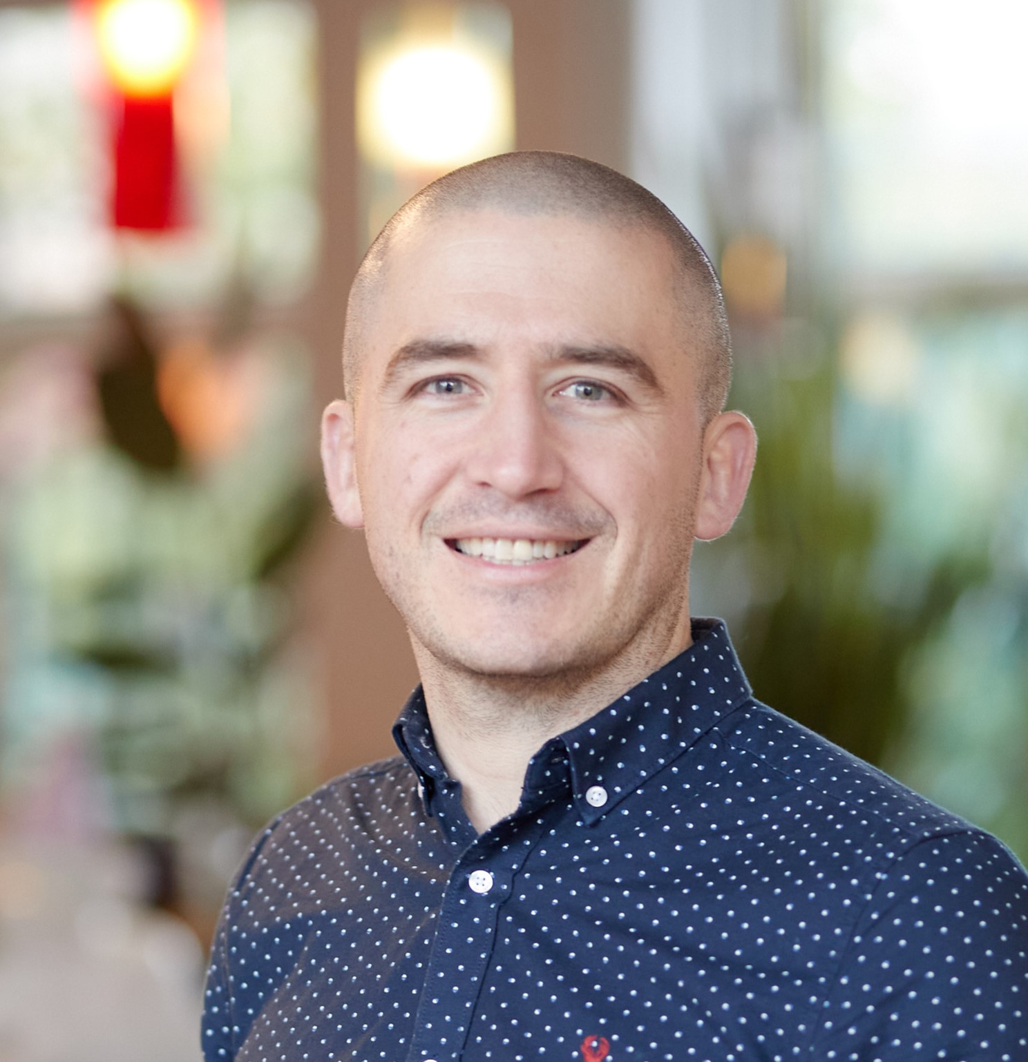 Toolbelts – SEO Toolbelt